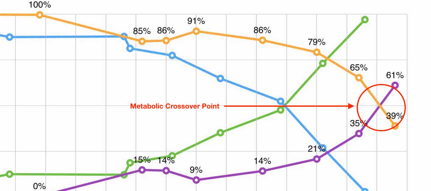 Metabolic Efficiency Testing 2 – One Year Later – BUT YOU CANNOT HIDE